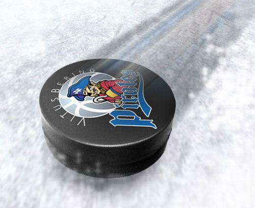 Sport Products Plus - #HP-001-03EXP Hockey Puck